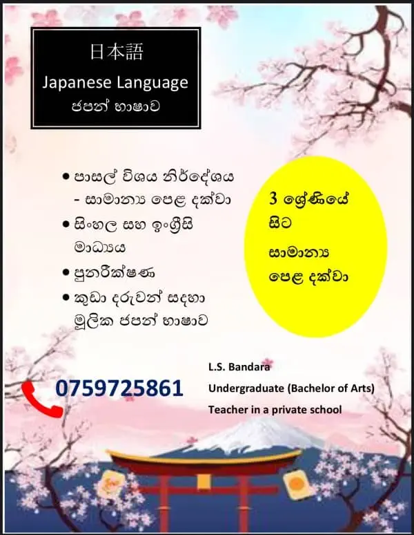 Japanese Classes Grade 3 to O/L