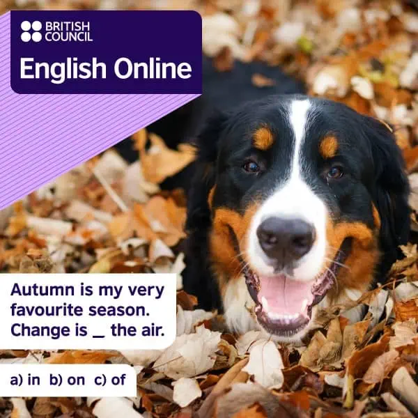 British Council - Sri Lanka